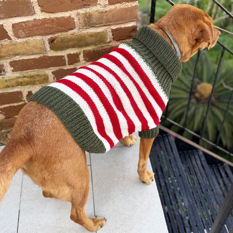 Christmas Elf Dog Sweater Knitting Pattern – Handy Little Me Shop