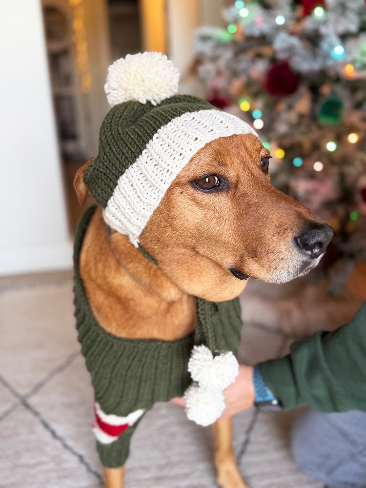 Dog Hat Knitting Pattern With Ear Holes – PDF (4 Sizes) – Handy Little ...